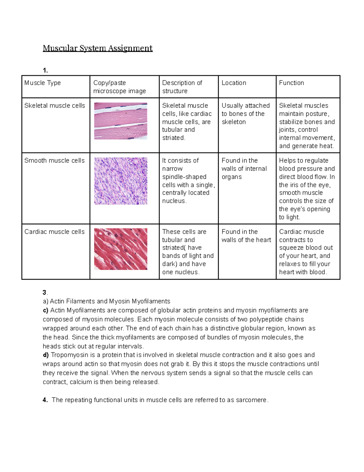 Muscular System Assignment - Muscle Type Copy/paste microscope image ...