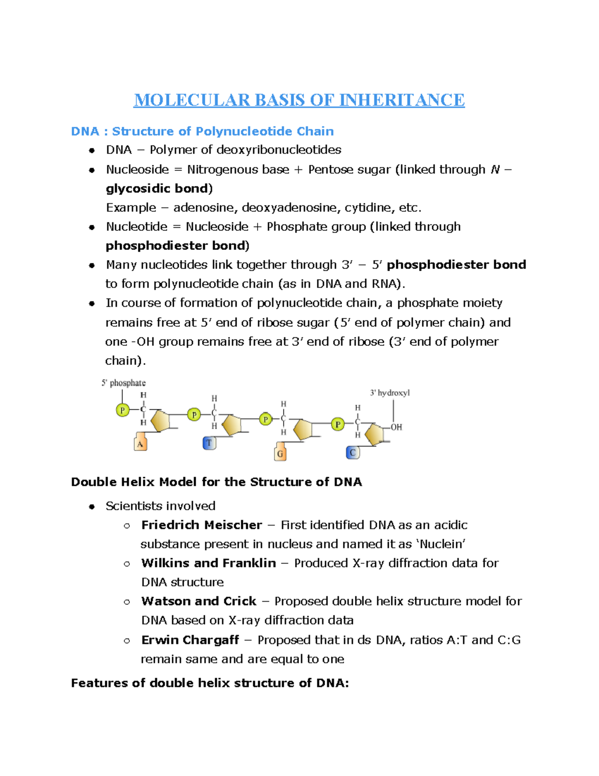 Molecular basis of inheritance - MOLECULAR BASIS OF INHERITANCE DNA ...