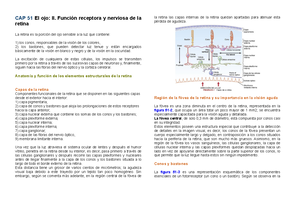 Cap 55 reflejos resumen - CAPÍTULO 55 GUYTON Y HALL ed 13 ° Funciones motoras de la médula ...