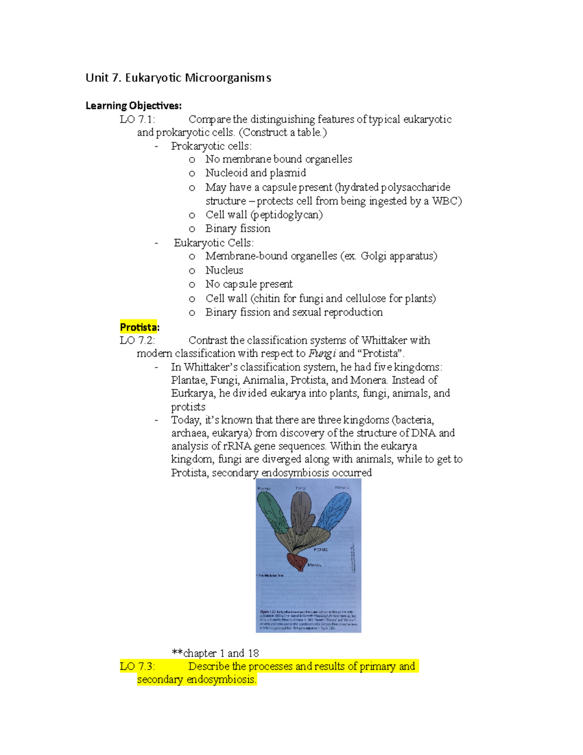 Unit 7. Eukaryotic Microorganisms - Unit 7. Eukaryotic Microorganisms ...