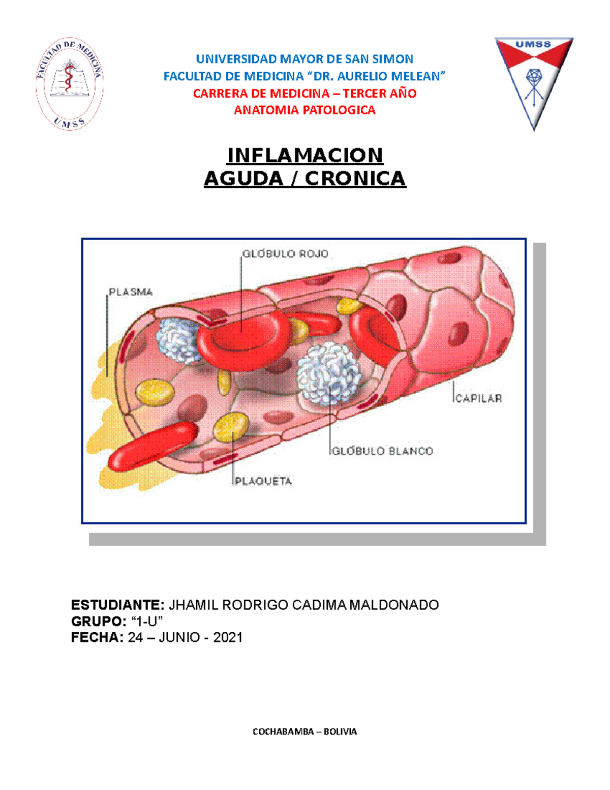 Inflamacion Aguda Y Cronica (diferencias) - ANATOMIA PATOLOGICA ...