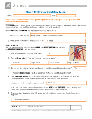 Gizmos Chemical Equations Lab Report Document - Name: Date: Student ...