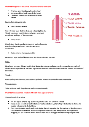 UNIT 3 Anatomy AND Physiology - UNIT 3 ANATOMY AND PHYSIOLOGY CELL ...