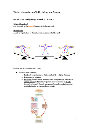 Workshop Worksheet Neural Pathways Answer Guide - Week Six - Neural ...
