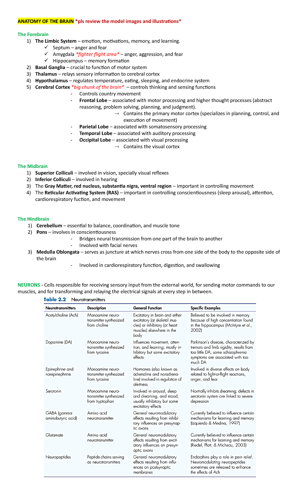 Lec 4 Cognitive Neuroscience - ANATOMY OF THE BRAIN pls review the ...