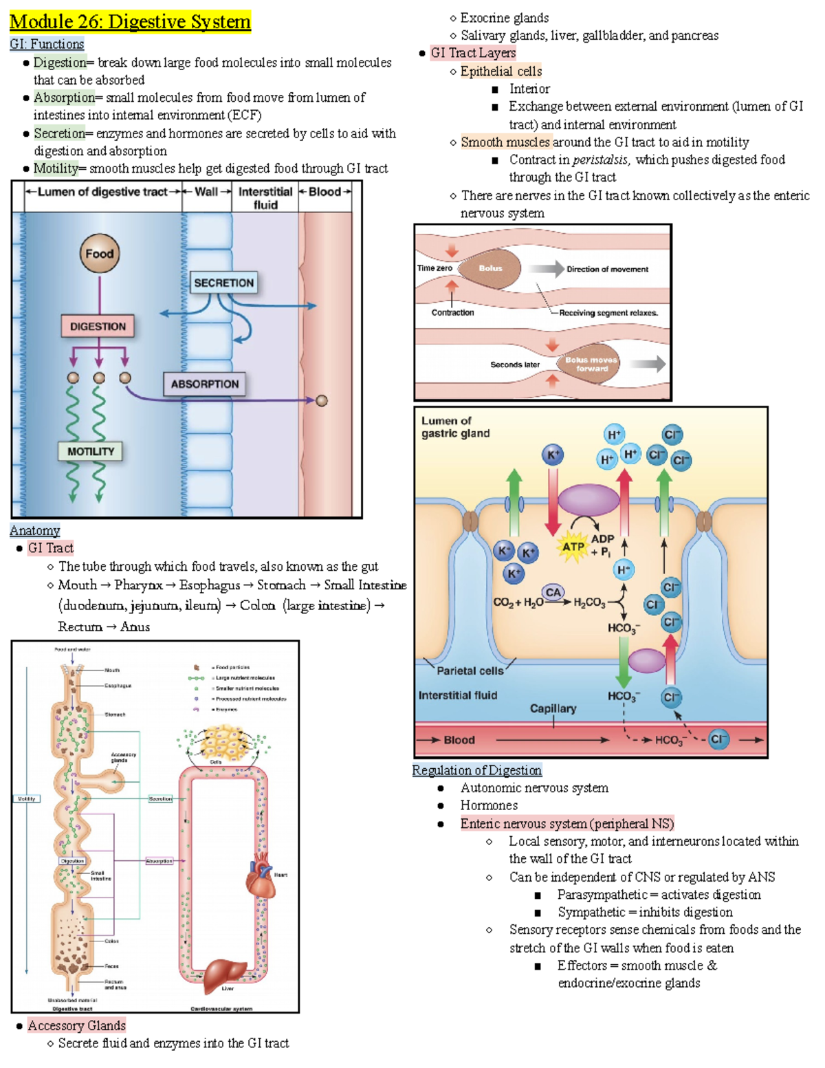 Mod 26-28 mcb32 - Lecture notes for modules 26-28 - Module 26 ...
