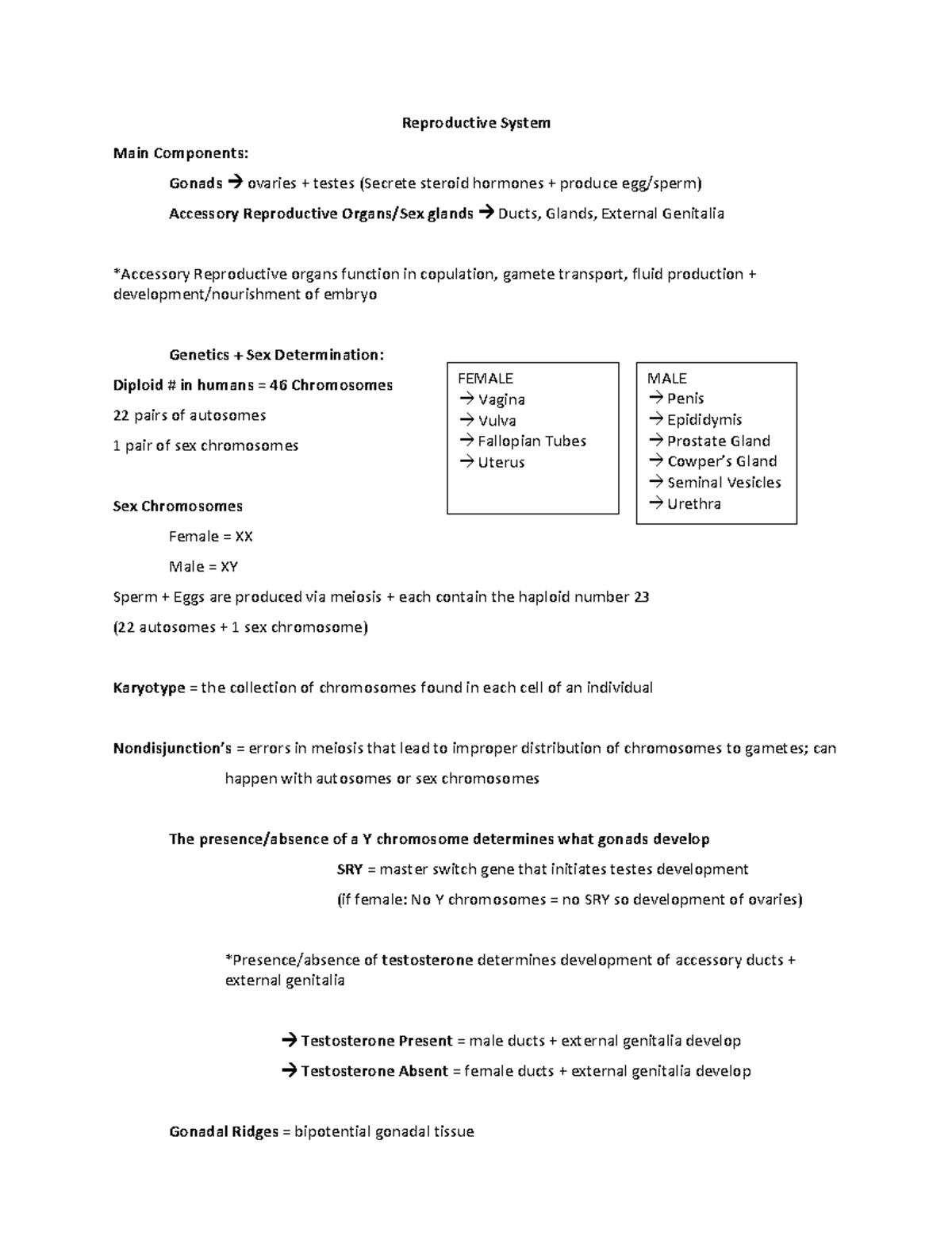Reproductive System Notes - Reproductive System Main Components: Gonads ...
