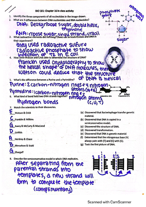 BIO181: HW CH 15 - homework chapter 15 - morgan Robinson Chapter 15 ...
