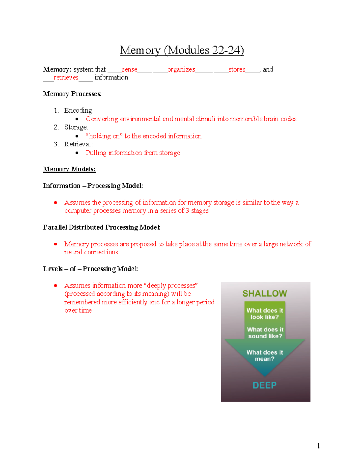 Memory - Notes - Memory (Modules 22-24) Memory: system that sense ...