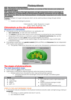 The Third Line of Defence Theory Notes - THE THIRD LINE OF DEFENCE VCAA ...