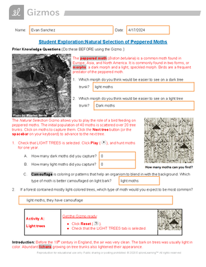 Gizmo - Food Chain - Name: Evan Sanchez Date: Student Exploration: Food ...