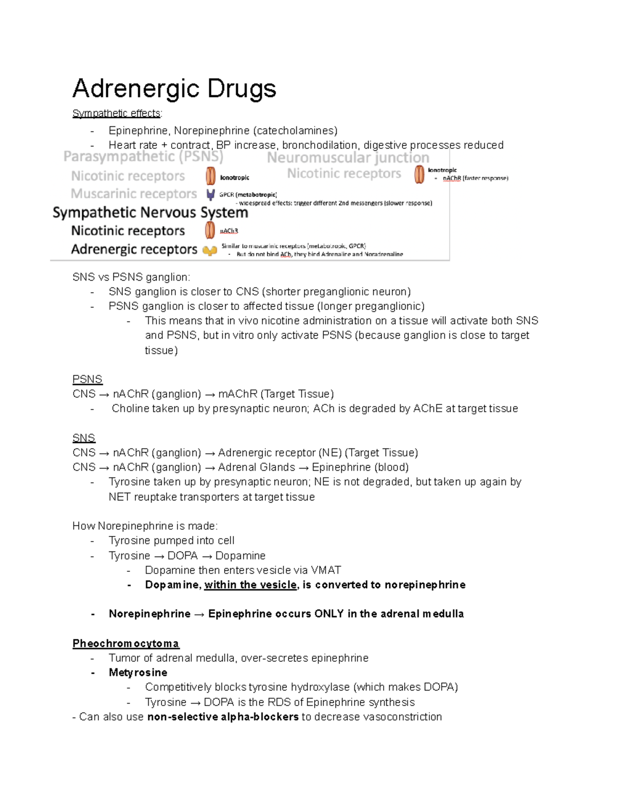 Adrenergic Drugs - Adrenergic Drugs Sympathetic effects: - Epinephrine ...