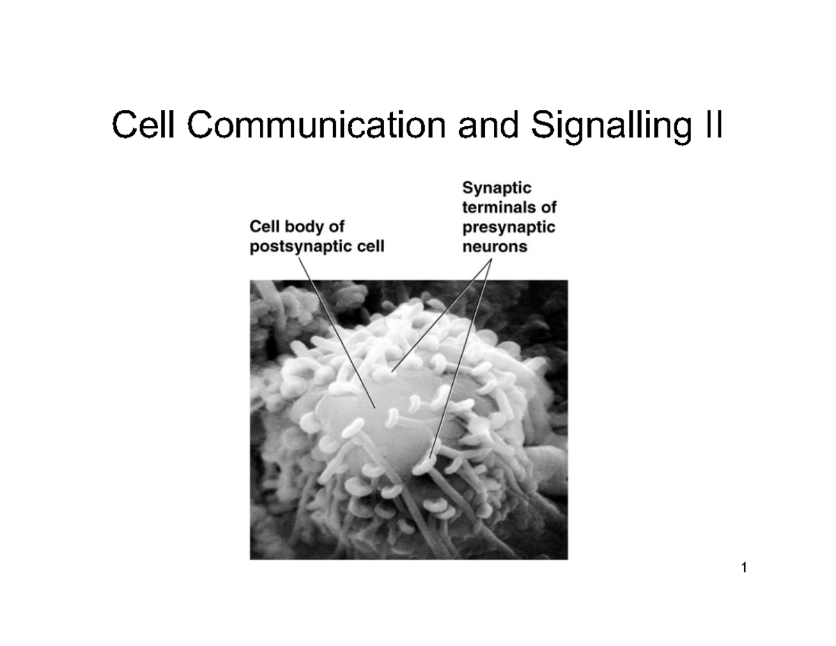 Lecture 18 Cell Communication II 2022 - Cell Communication and ...