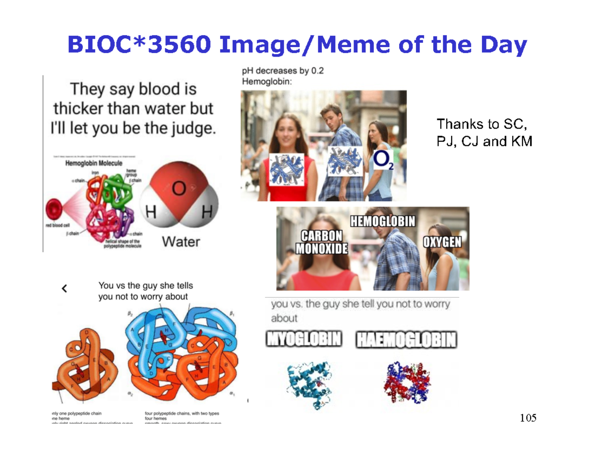 BIOC 3560 Lecture 8 - BIOC*3560 Image/Meme of the Day 105 Thanks to SC ...