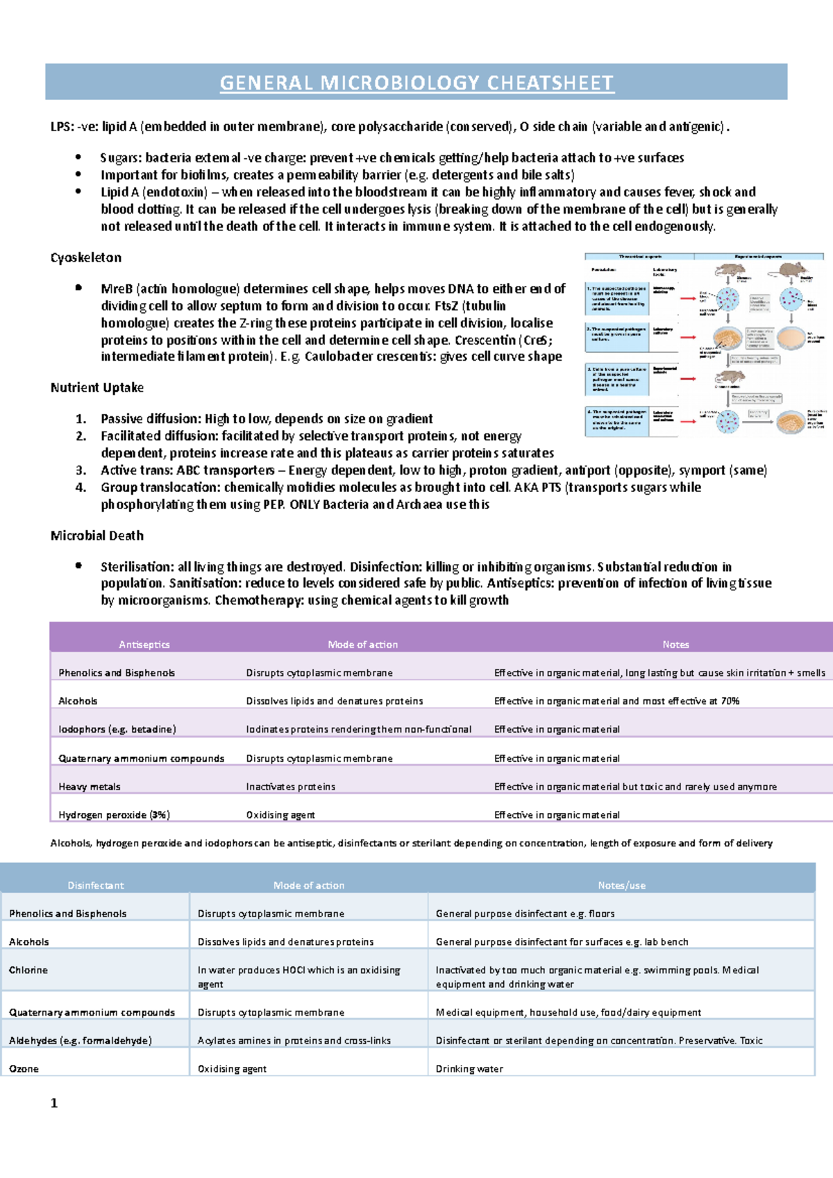 General Microbiology Summary - GENERAL MICROBIOLOGY CHEATSHEET LPS: -ve ...