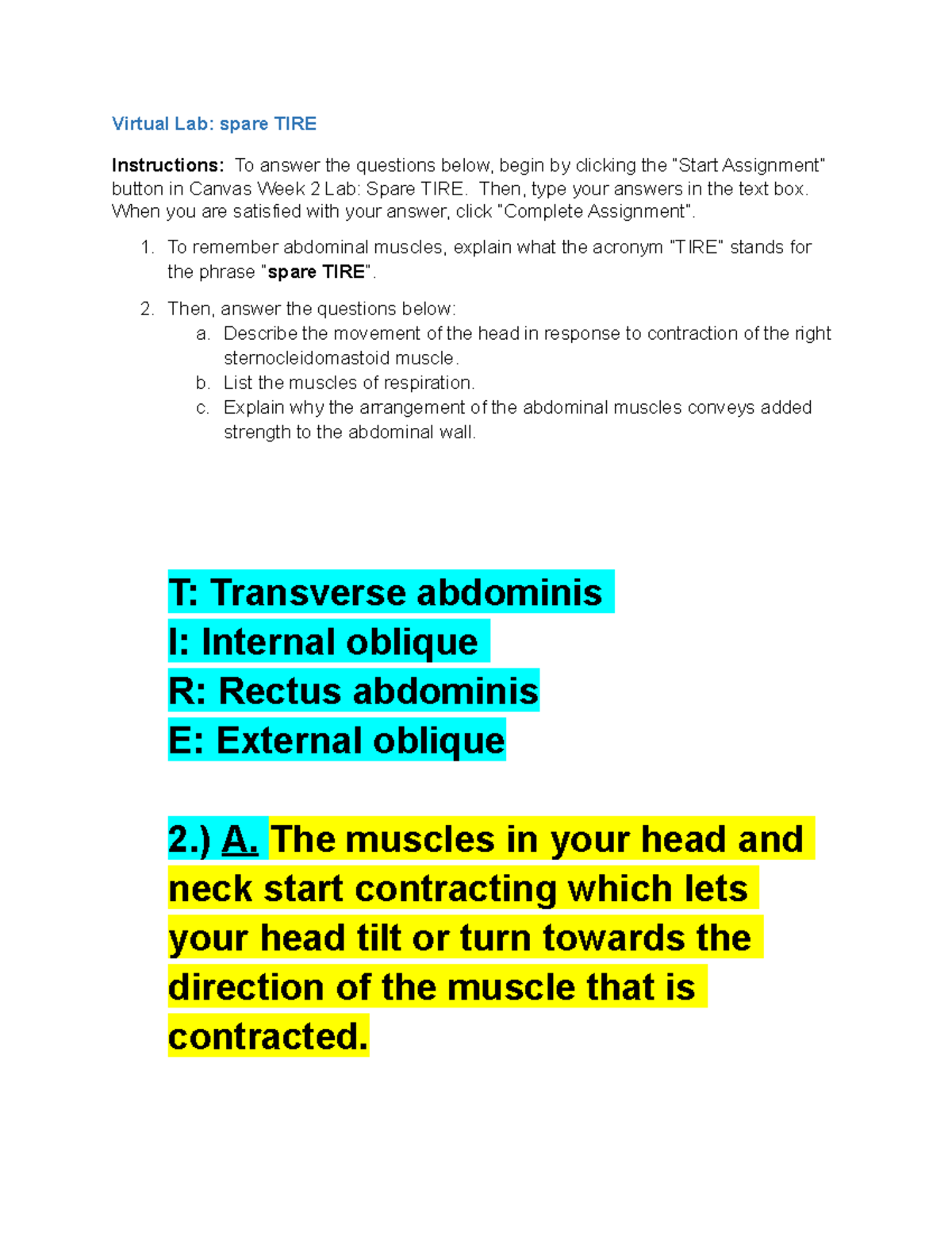 AHP106 week 2 LAB - assignment - Virtual Lab: spare TIRE Instructions ...