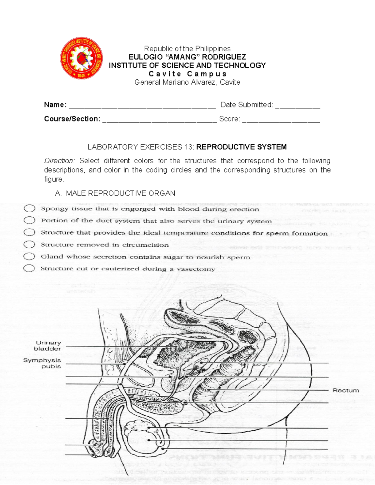 Anaphylab - NOTES - Republic of the Philippines EULOGIO “AMANG ...