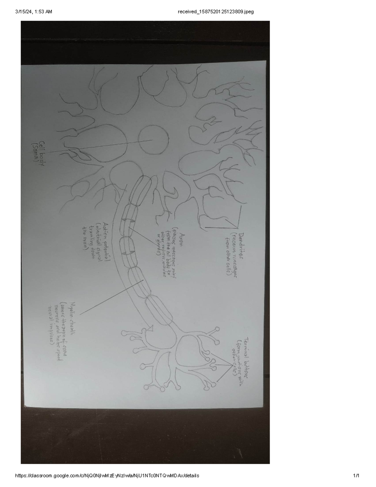 2 - reviewer notes - BS Accountancy - 3/15/24, 1:53 AM received ...