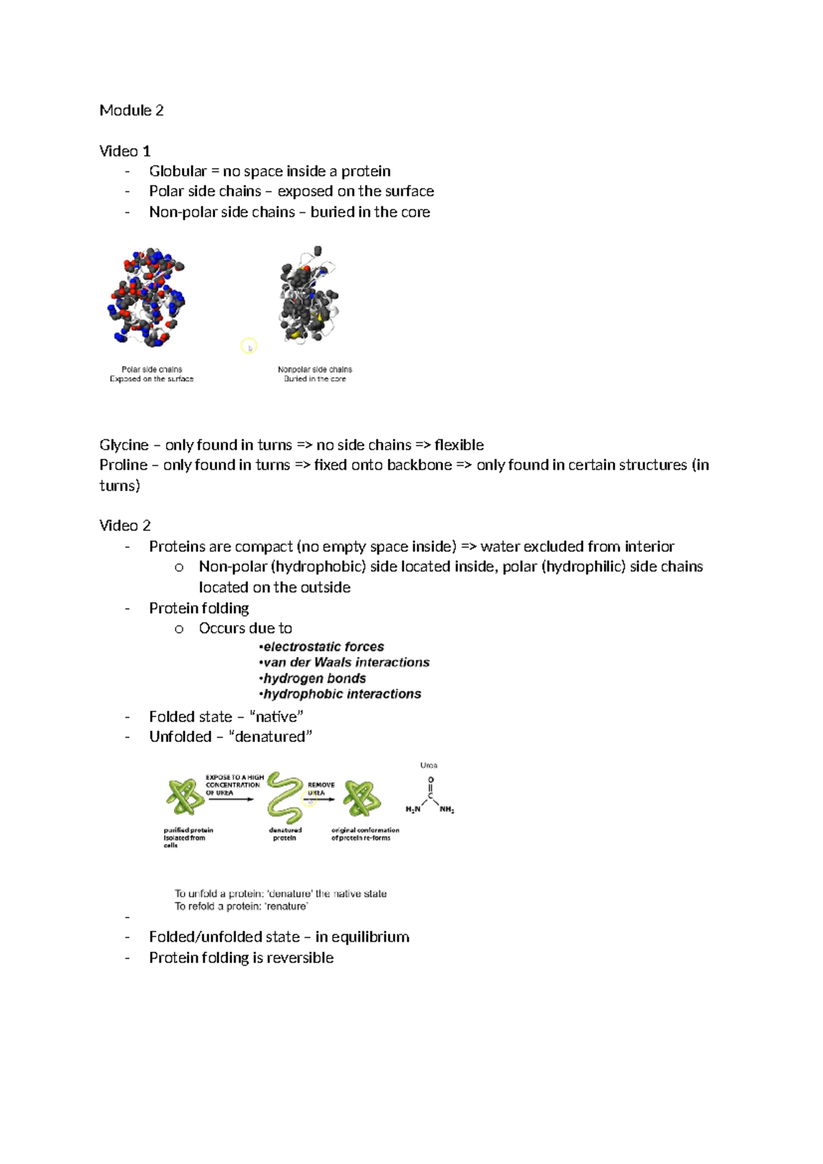 Module 2 (lecture notes) - Module 2 Video 1 - Globular = no space ...