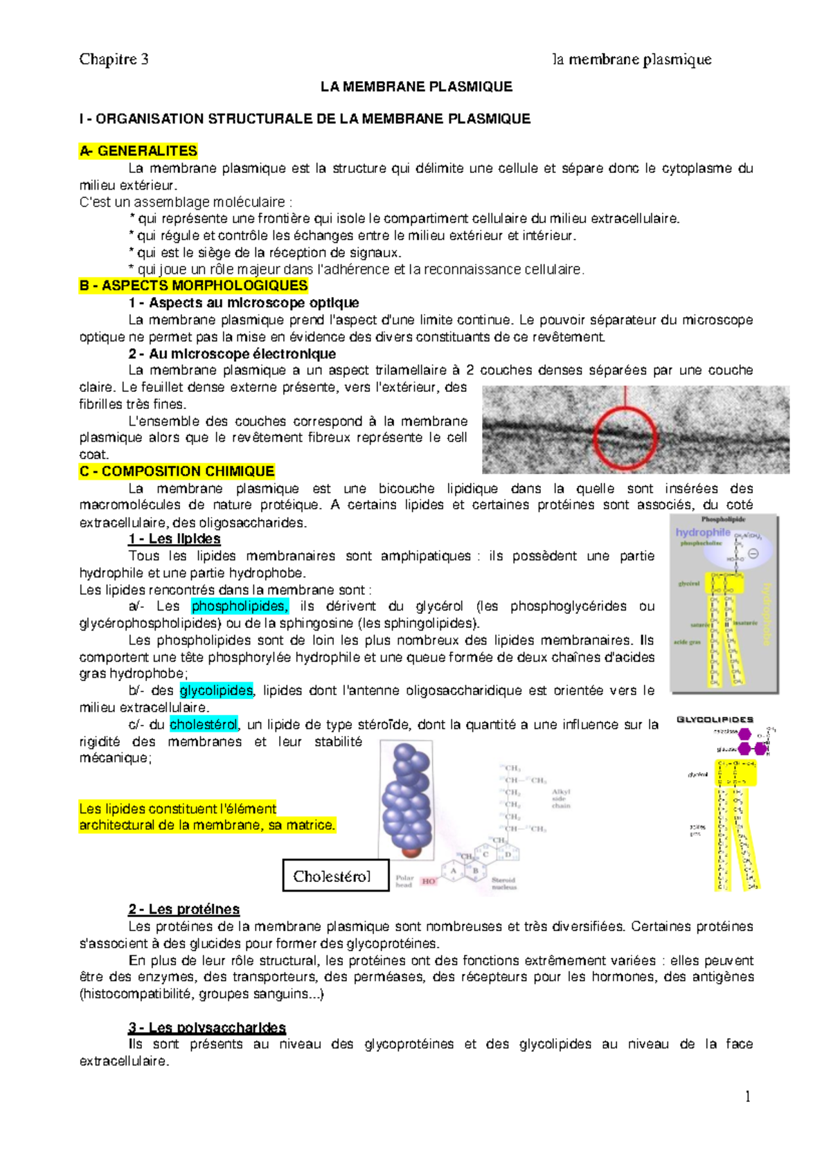Chapitre 3 la membrane plasmique - LA MEMBRANE PLASMIQUE I ...