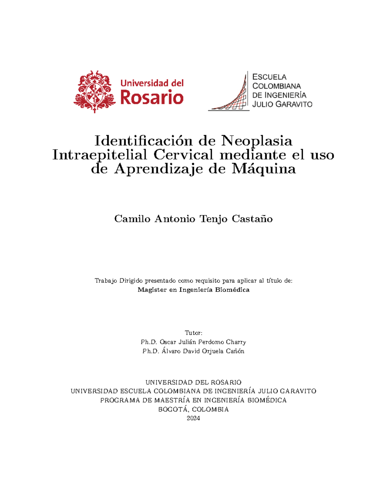 Identificacion de neoplasia intraepitelial cervical - Identificaci ́on ...