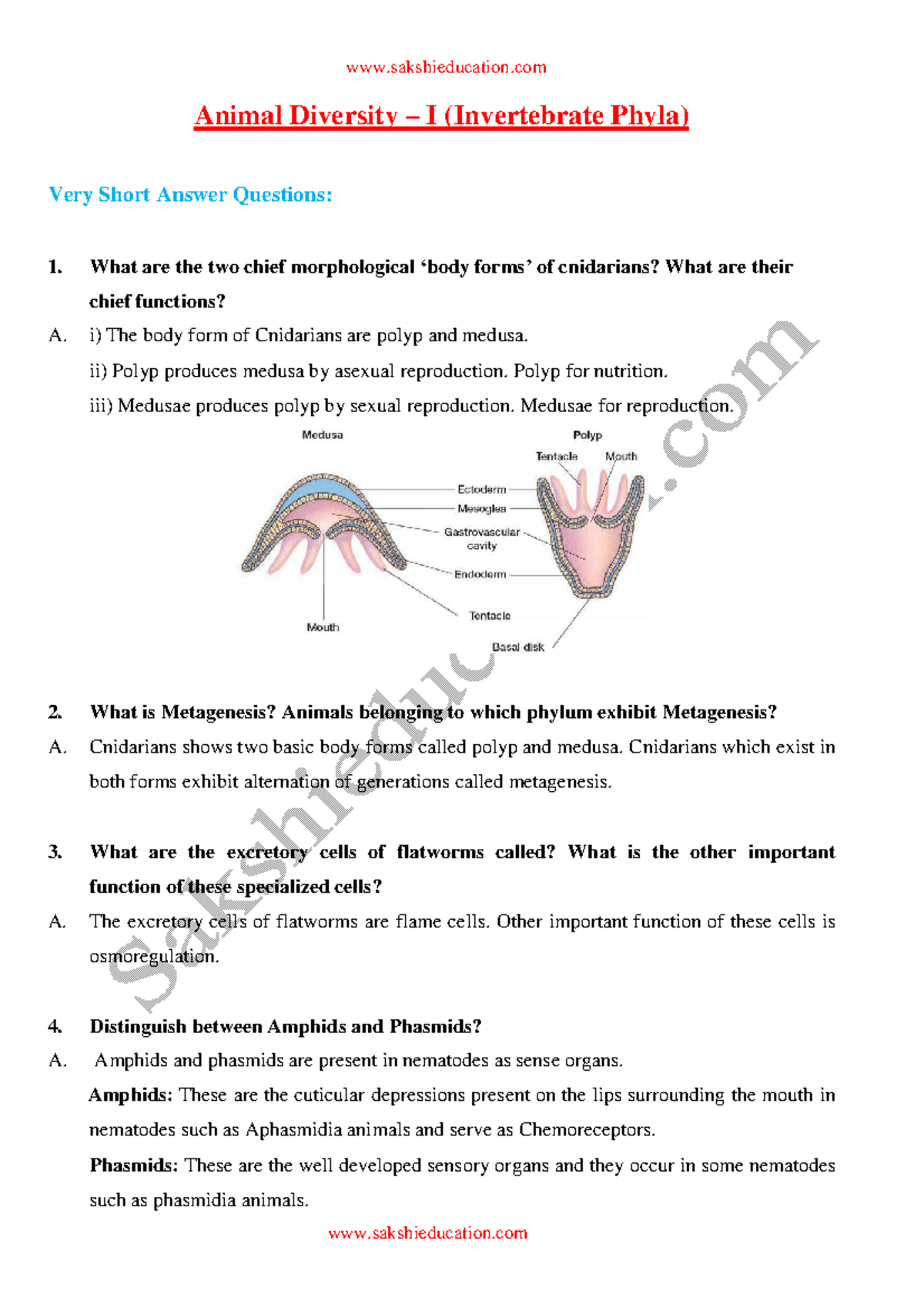 Inter-material-istyearem-zoology-animal diversity i invertebrate phyla ...