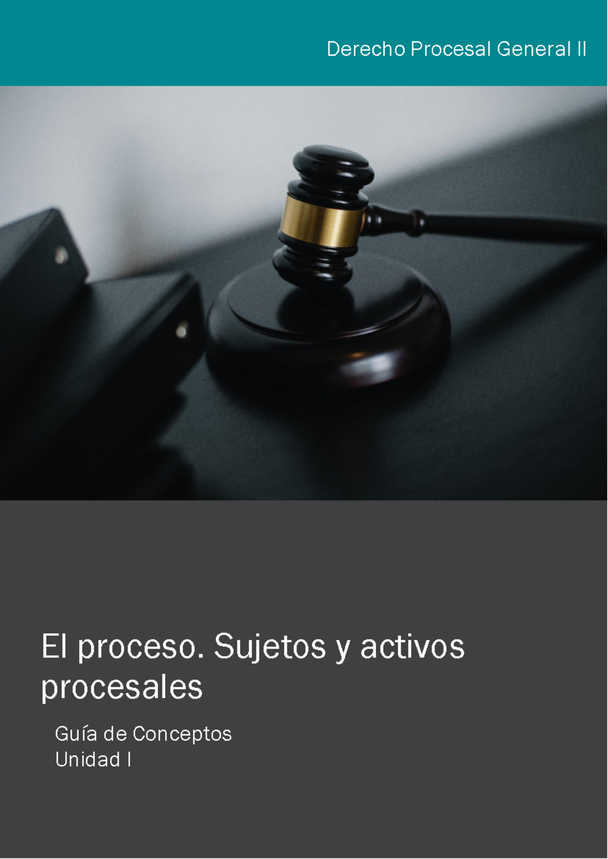 U1 DPG2-2 - Derecho Procesal General II El proceso. Sujetos y activos ...