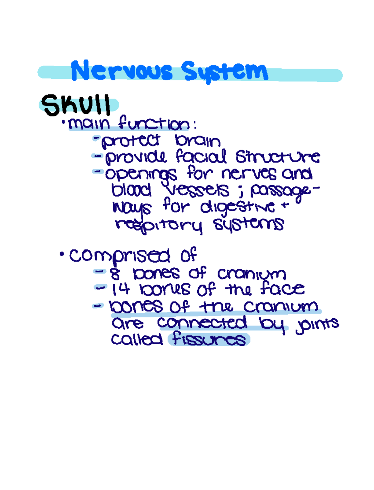 Nervous System Notes - Nervous System Skull main function protect brain ...
