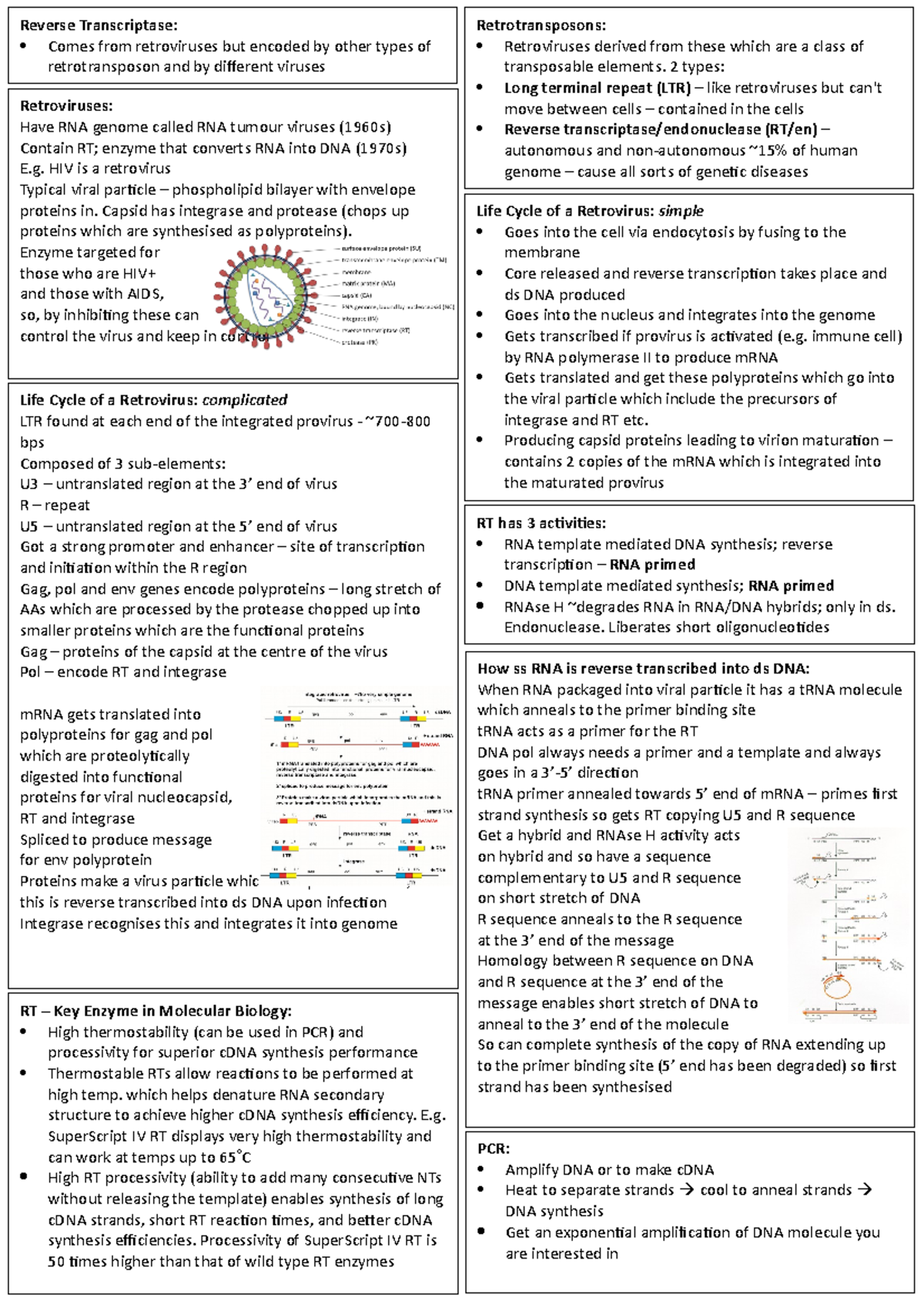 Reverse Transcriptase and c DNA - Retroviruses: Have RNA genome called ...