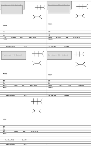 Sample Nursing Flow Sheet/Report Sheet - PATIENT ROOM# / NAME ...