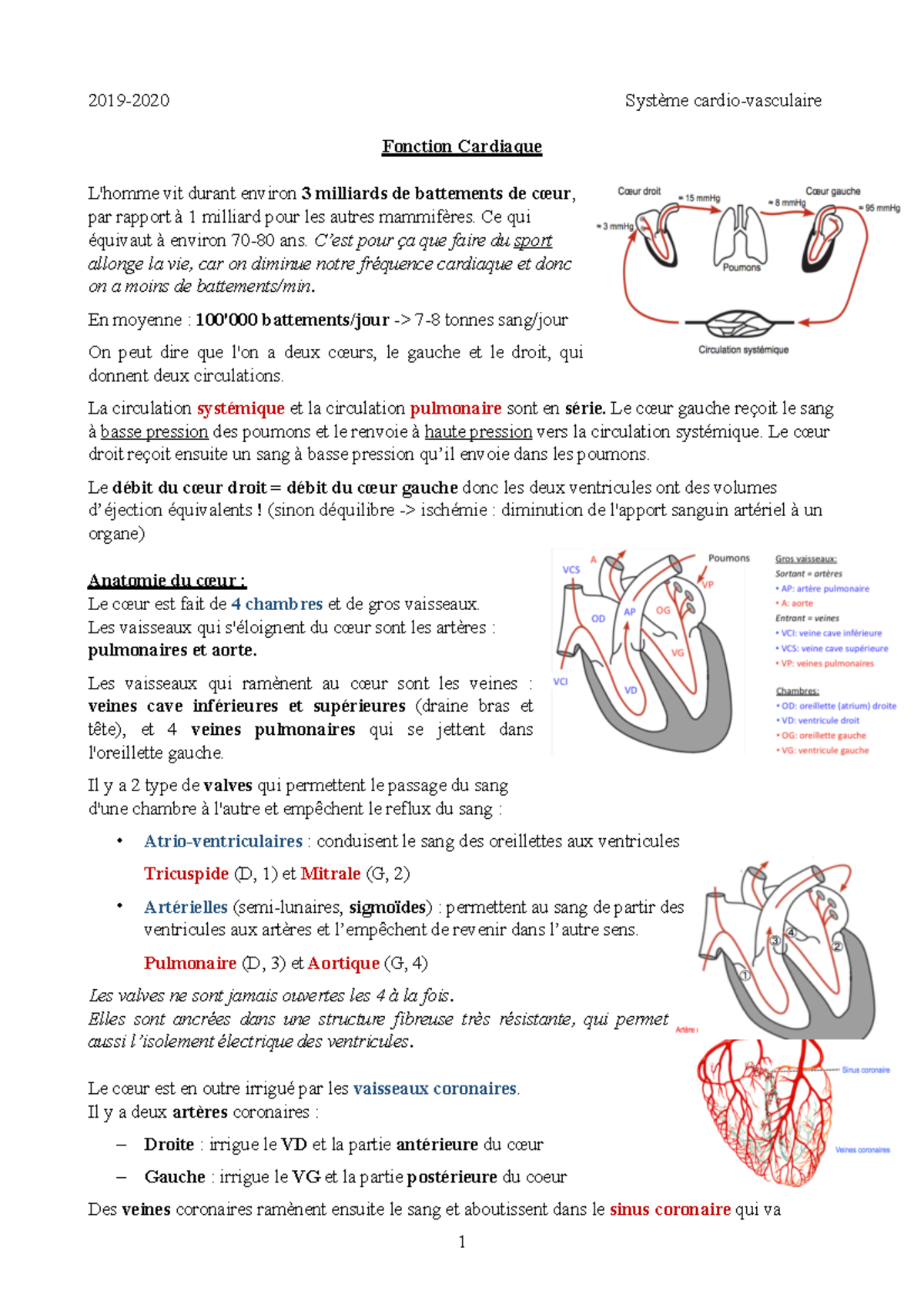 Syst circul fonction cardiaque - 2019-2020 Système cardio-vasculaire ...