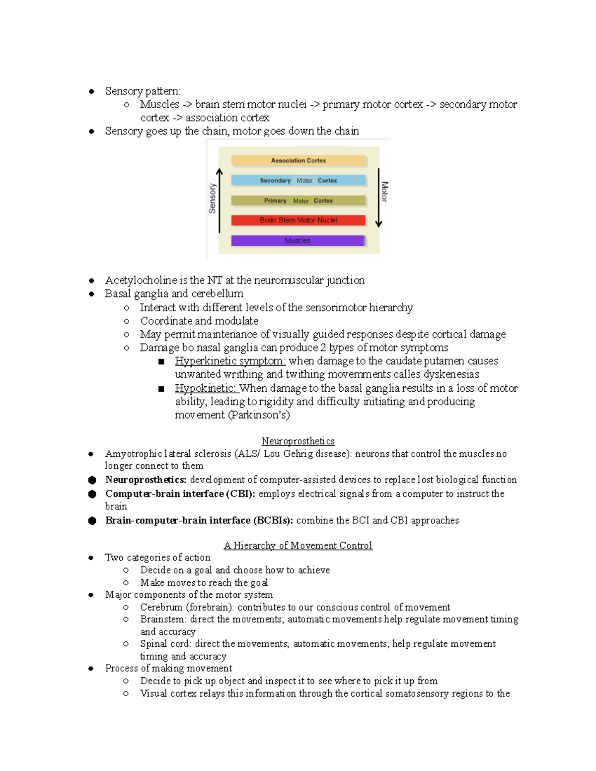 Chapter 11 sensory - Sensory pattern: Muscles -> brain stem motor ...