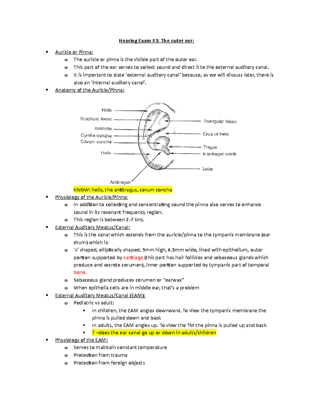 Exam 3 Notes - hearing science - Hearing Exam #3: The outer ear ...