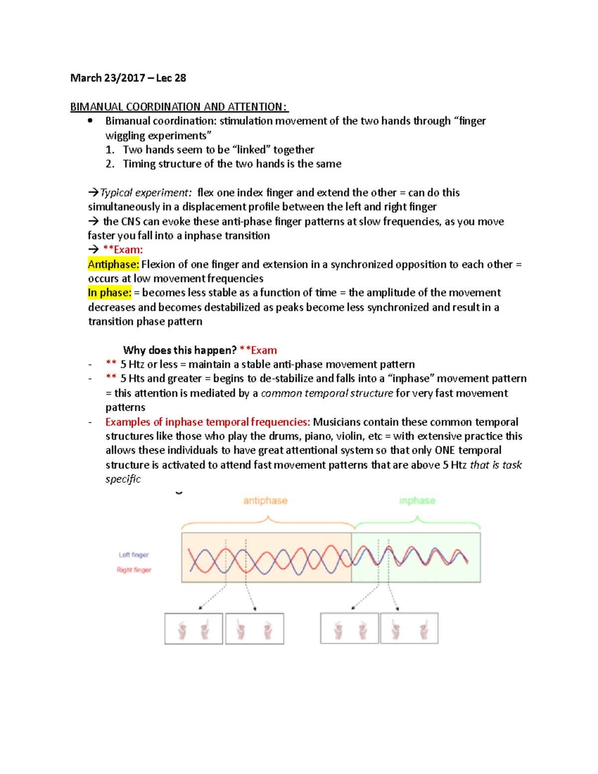Lec 28 - March 22 - kin 1080 lecture notes - March 23/2017 – Lec 28 ...