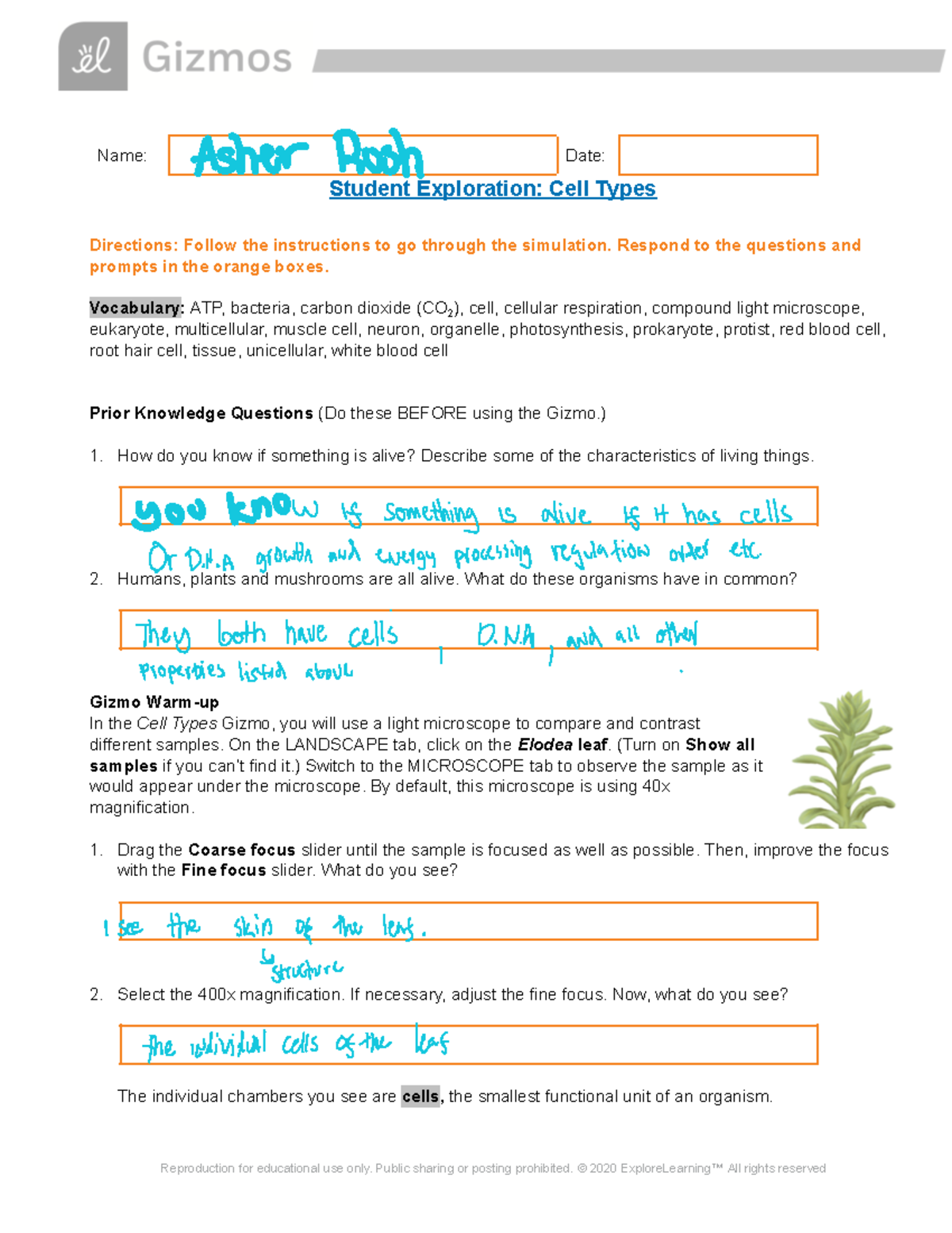 Gizmo Cell Types - Name: Date: Student Exploration: Cell Types ...