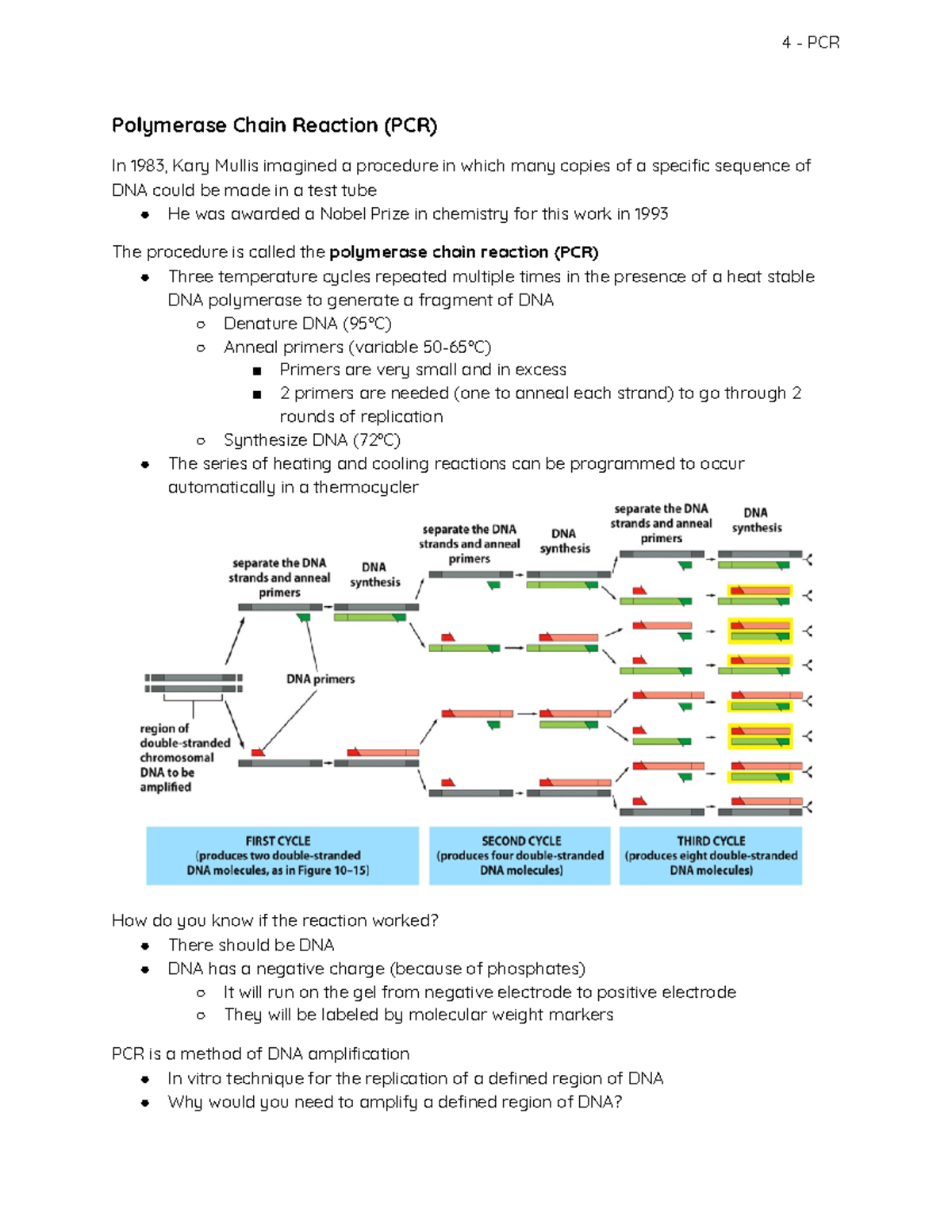 4 - PCR - Lecture notes 4 - 4 PCR Polymerase Chain Reaction (PCR) In ...
