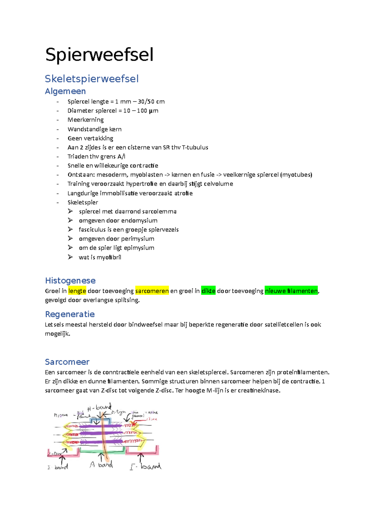 Histo H5 spierweefsel - Spierweefsel Skeletspierweefsel Algemeen ...