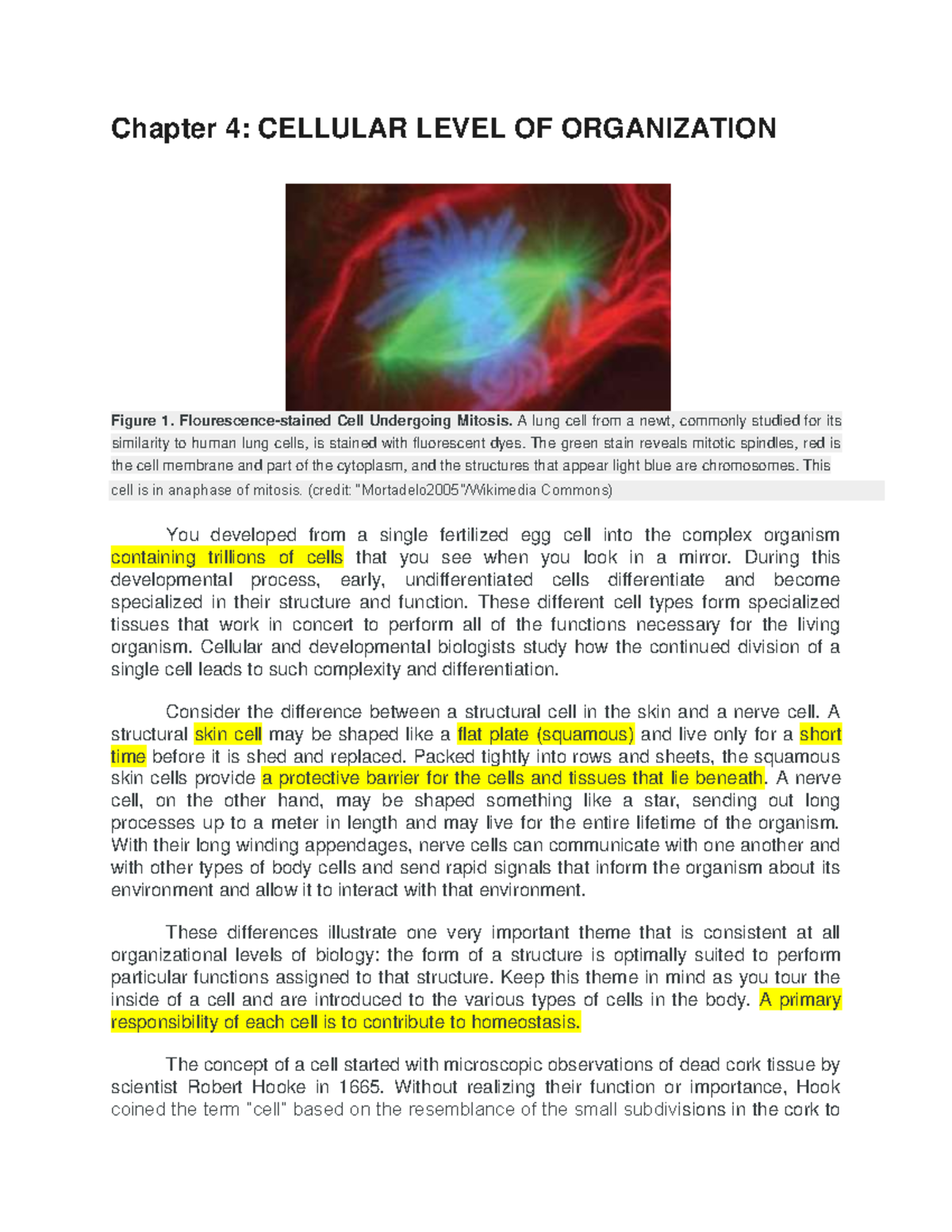 Chapter 4- Cellular Level of Organization - Chapter 4: CELLULAR LEVEL ...