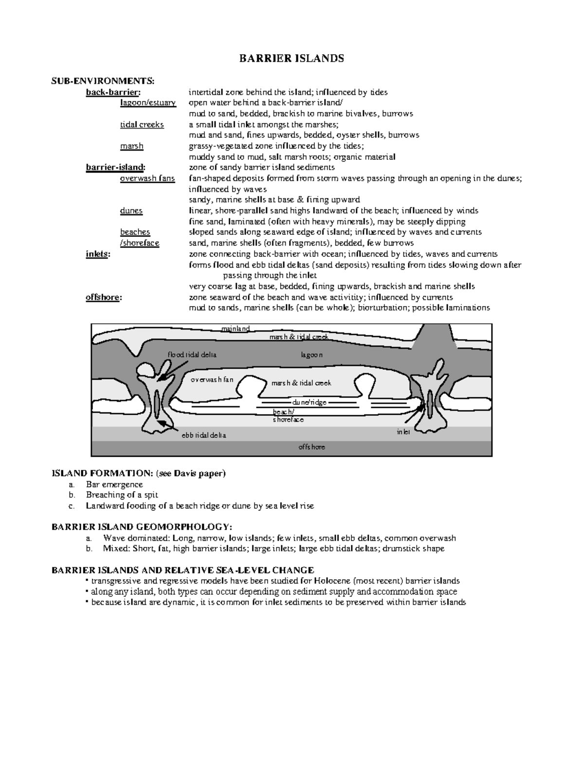 Barrier Islands Handout - BARRIER ISLANDS SUB-ENVIRONMENTS: back ...