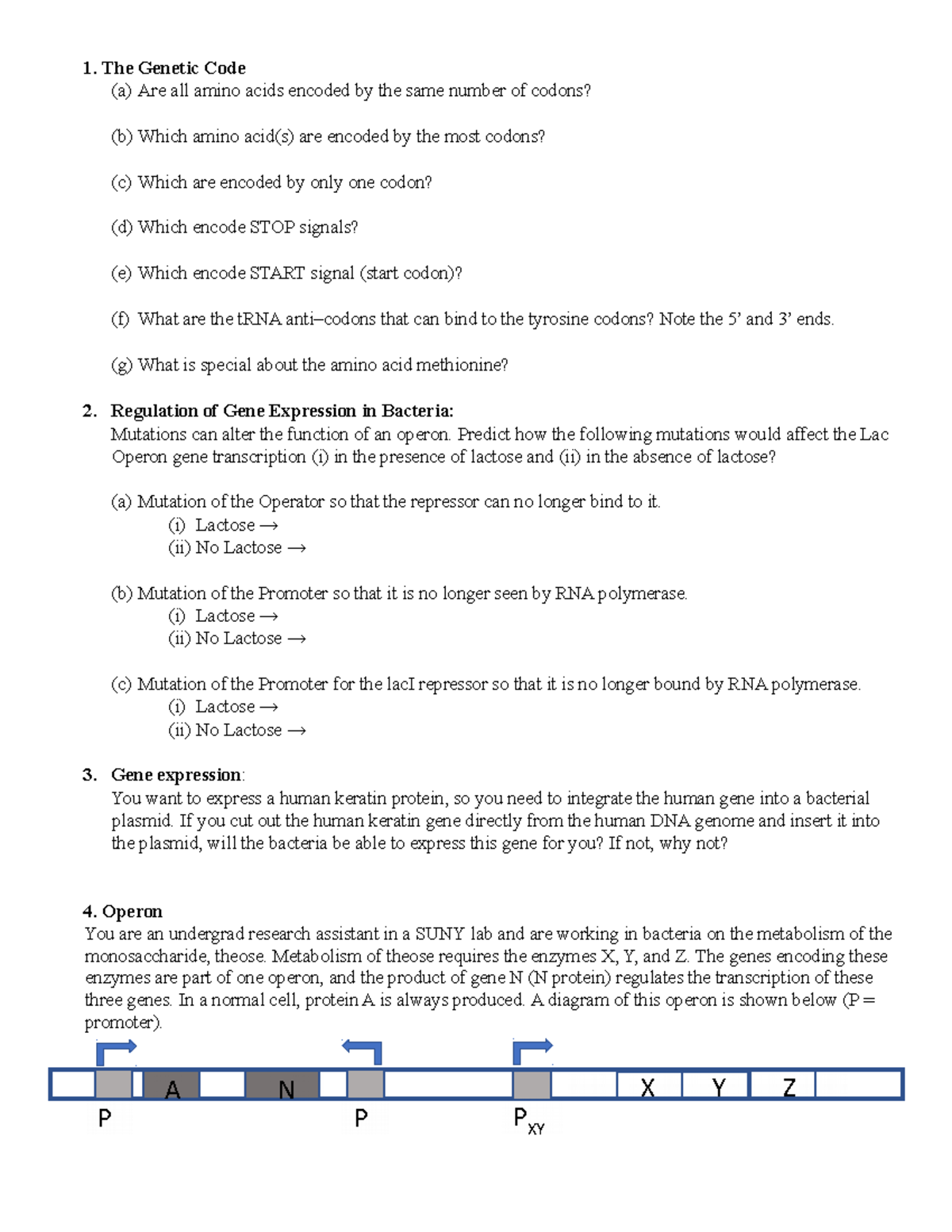 Molecular Genetics Questions + answers - The Genetic Code (a) Are all ...