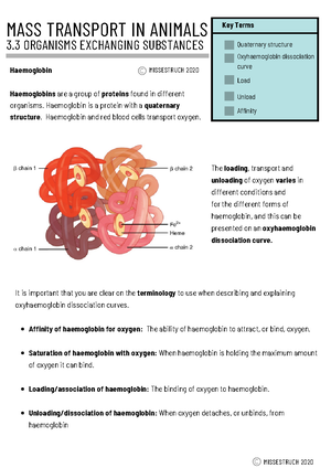 L6-RNA Strucutre & transcription - Notes on MBB11003 lecture 6: RNA ...