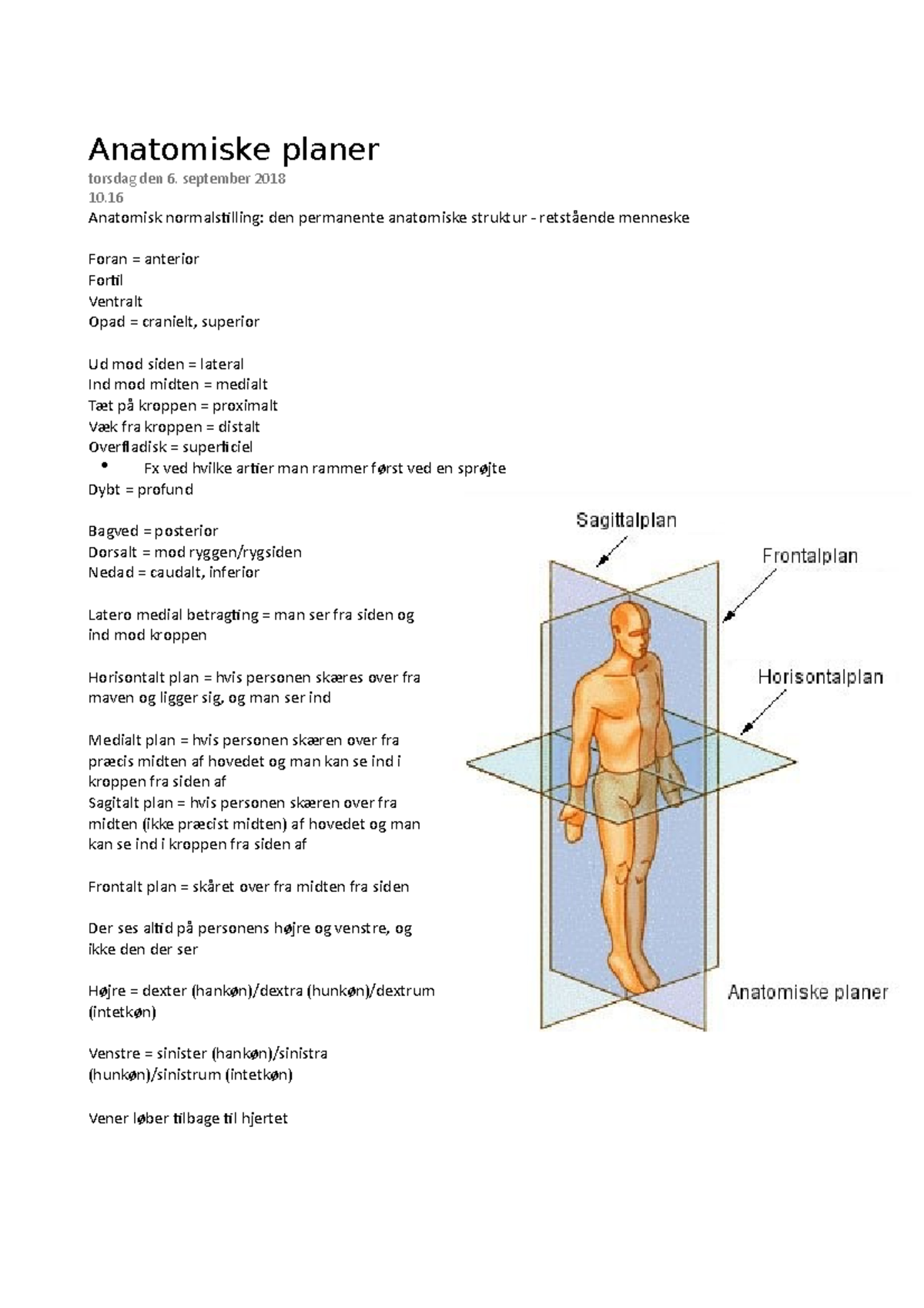 Sundhedsvidenskab 1 noter - Anatomiske planer torsdag den 6. september ...