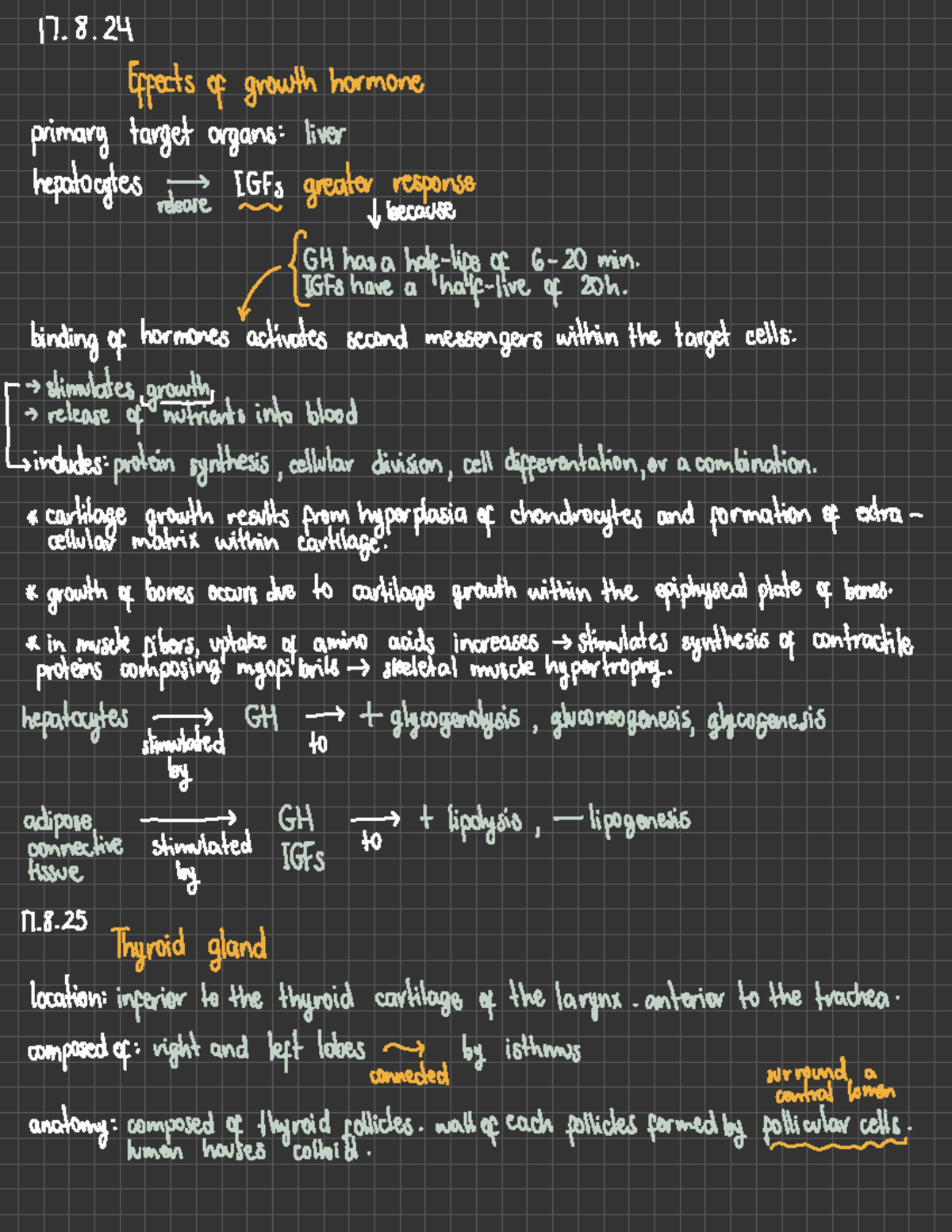 Chapter 17 - Notes based on learning objectives - 17. Effects of growth ...