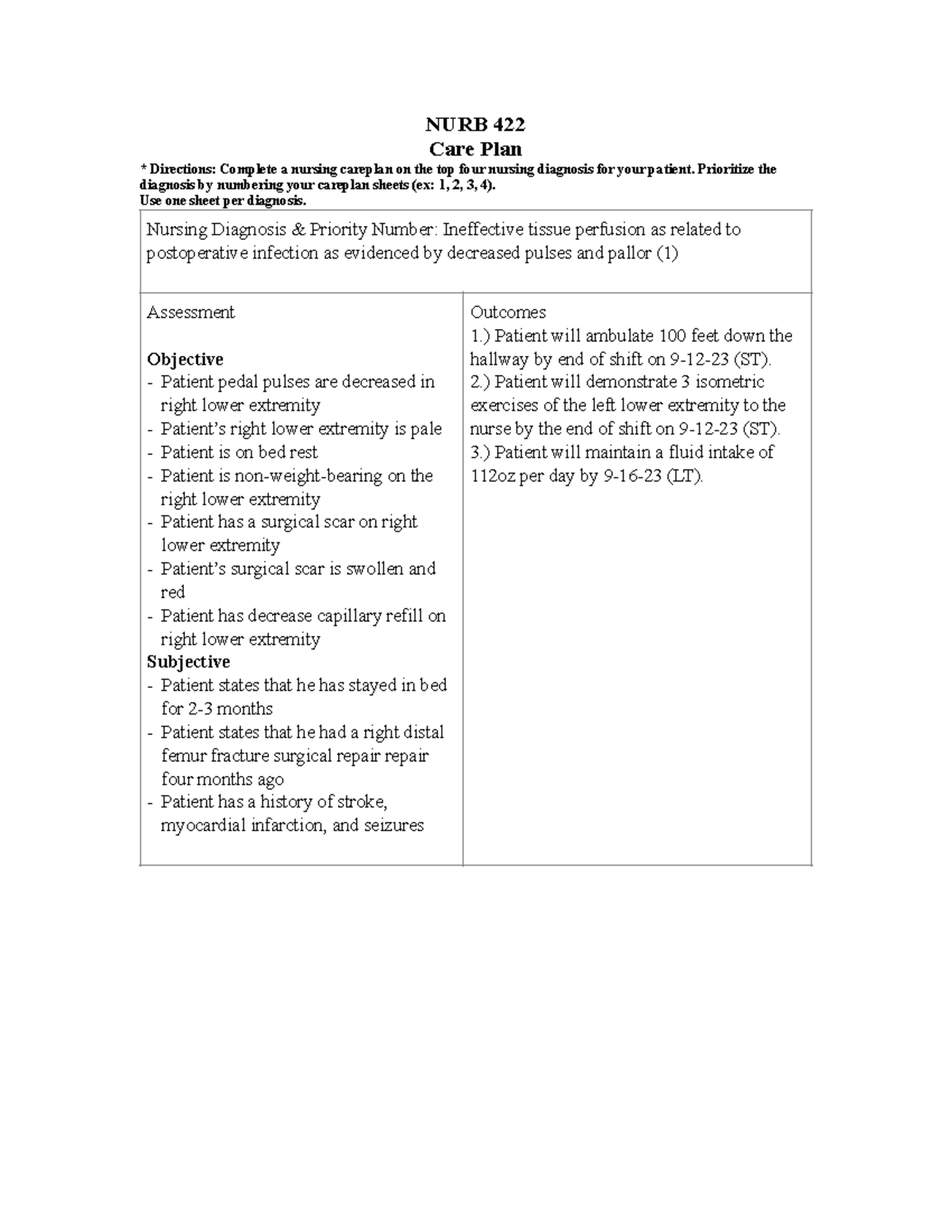 9-11 Care Plan 1 PDF - Care Plan Example - NURB 422 Care Plan ...