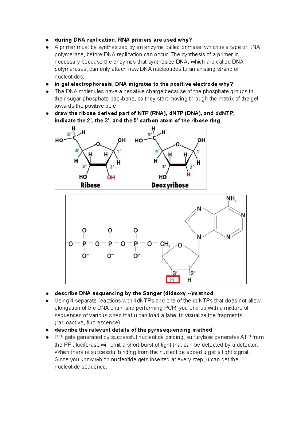 AMM Chapter 2.1 Q+A - during DNA replication, RNA primers are used why ...