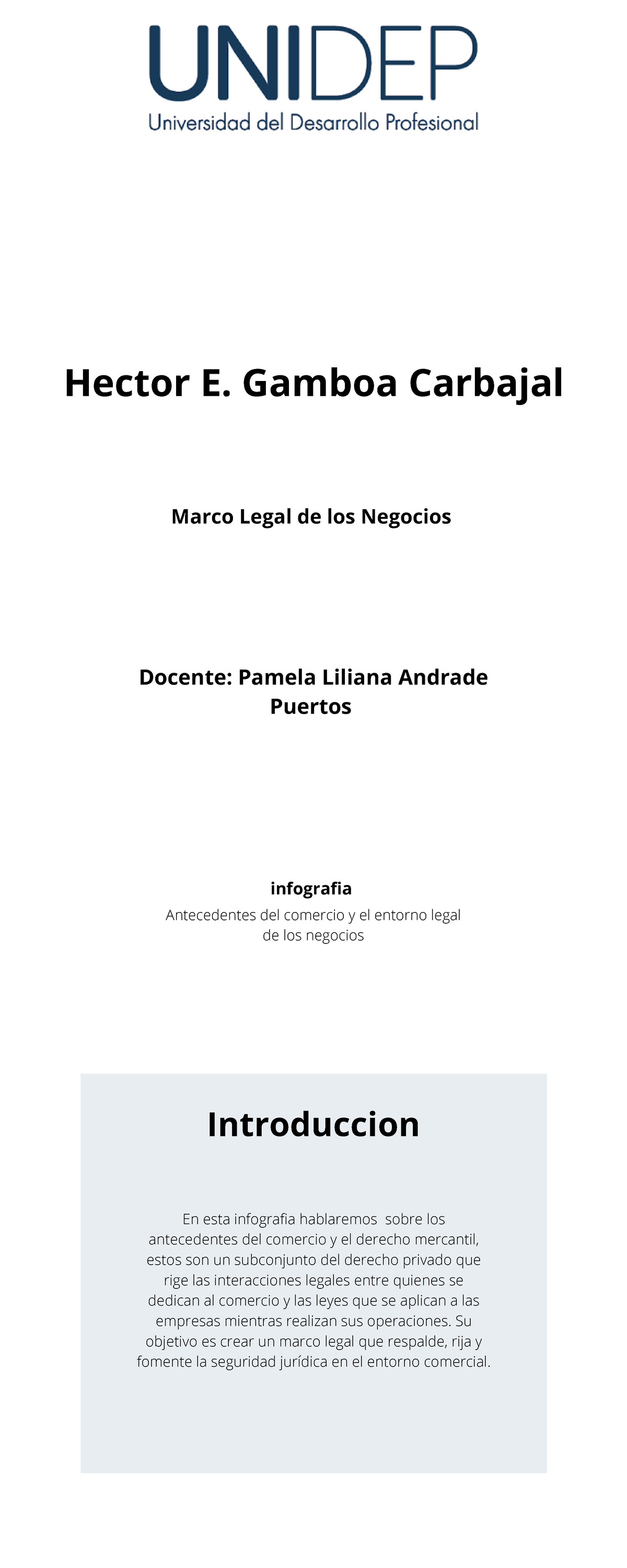 Infografía Trabajo Freelance Autónomo Simple Pastel - Hector E. Gamboa ...