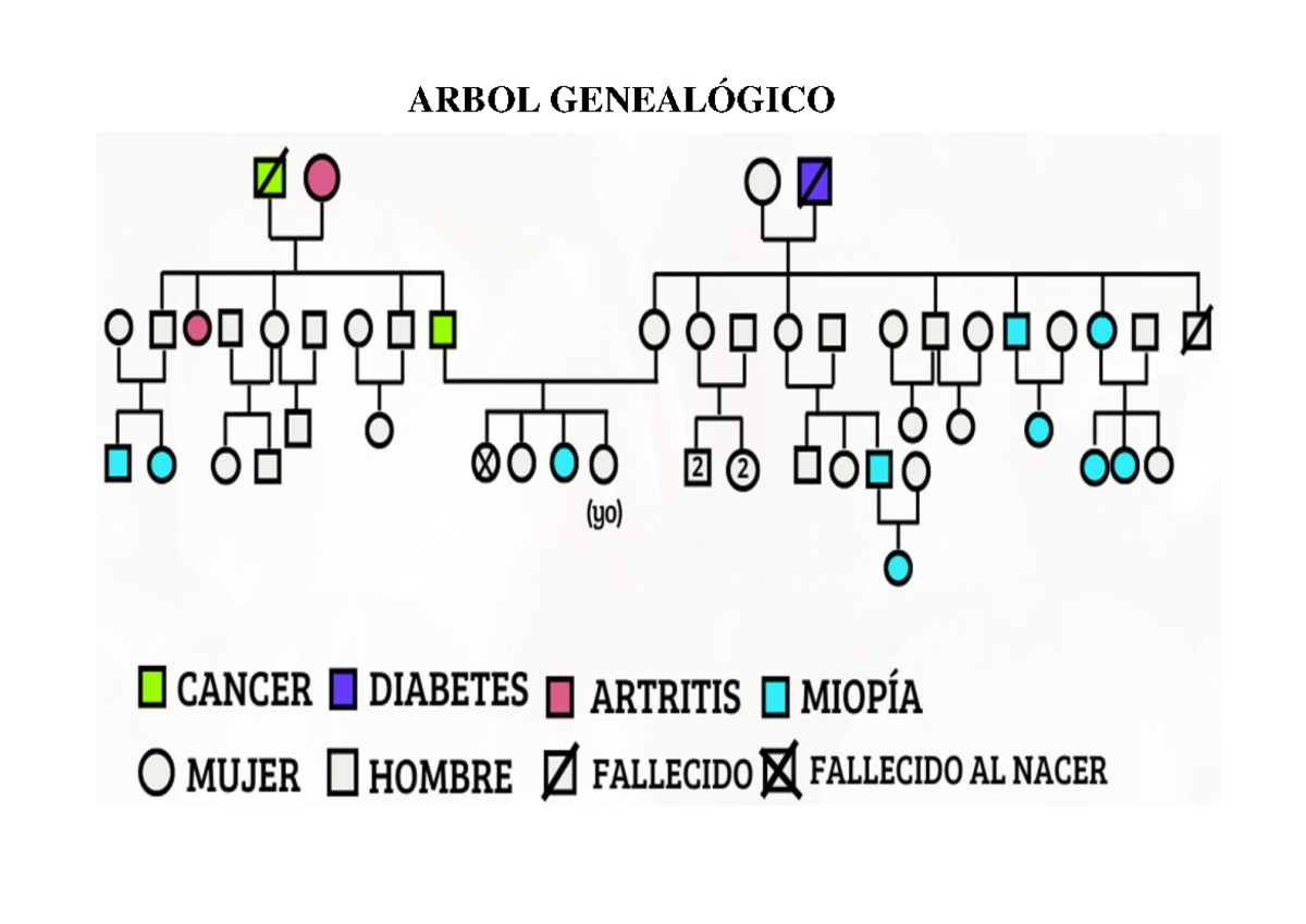 Arbol Genealógico - Genética Y Embriología Humana - ARBOL GENEALÓGICO ...