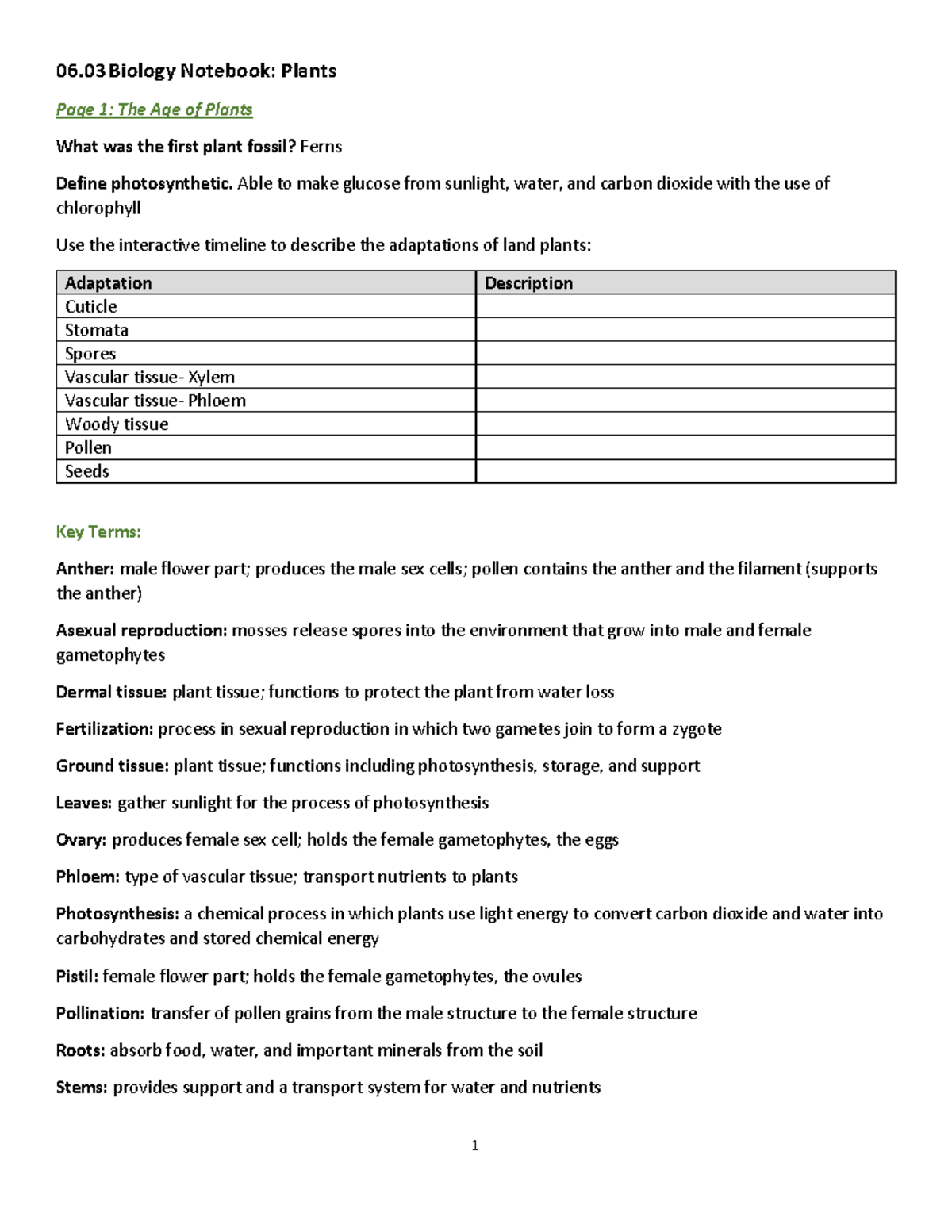 06 03 plants - 06 Biology Notebook: Plants Page 1: The Age of Plants ...