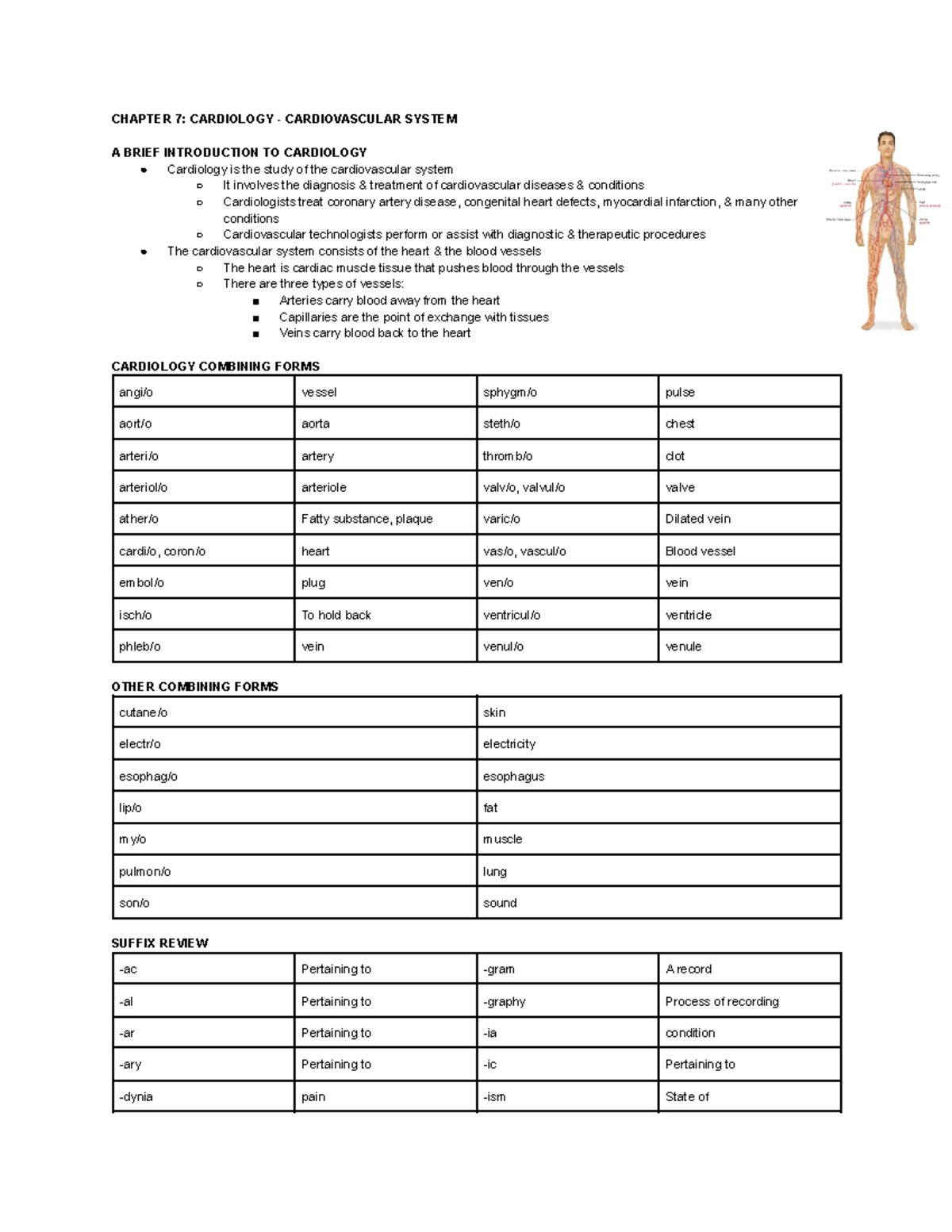 HSA 3534 Chp 7 Notes - CHAPTER 7: CARDIOLOGY - CARDIOVASCULAR SYSTEM A ...