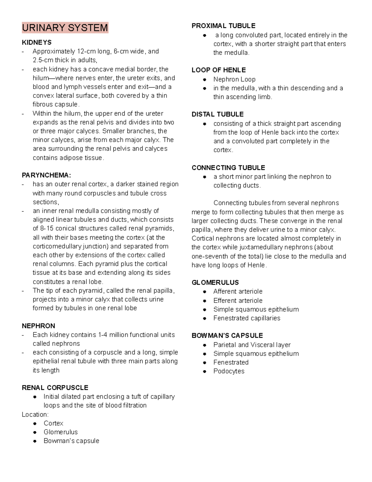 Urinary System - notes - URINARY SYSTEM KIDNEYS Approximately 12 - cm ...
